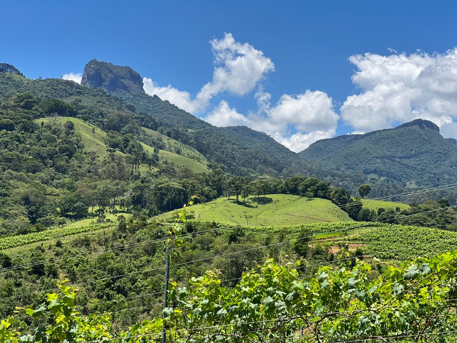 Imagens icônicas tornam complexo da Villa Santa Maria o endereço 'dos ...